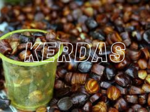 Kerdas Dot Com – Ulaman Mudah Beli